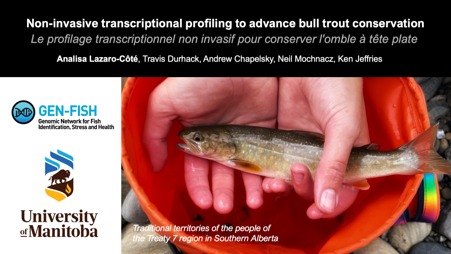 Non-invasive transcriptional profiling to advance bull trout ...